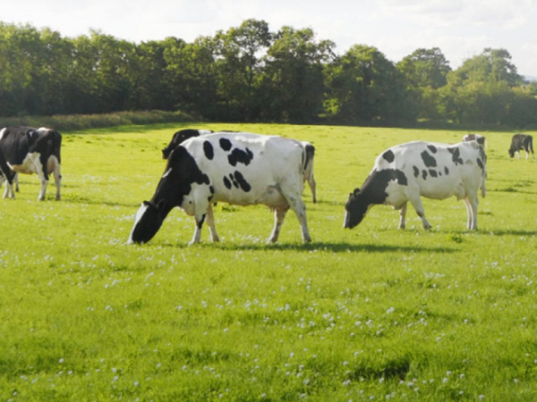 41 Breathtaking Places To Add To Your Bucket List In Riyadh! » This is ...