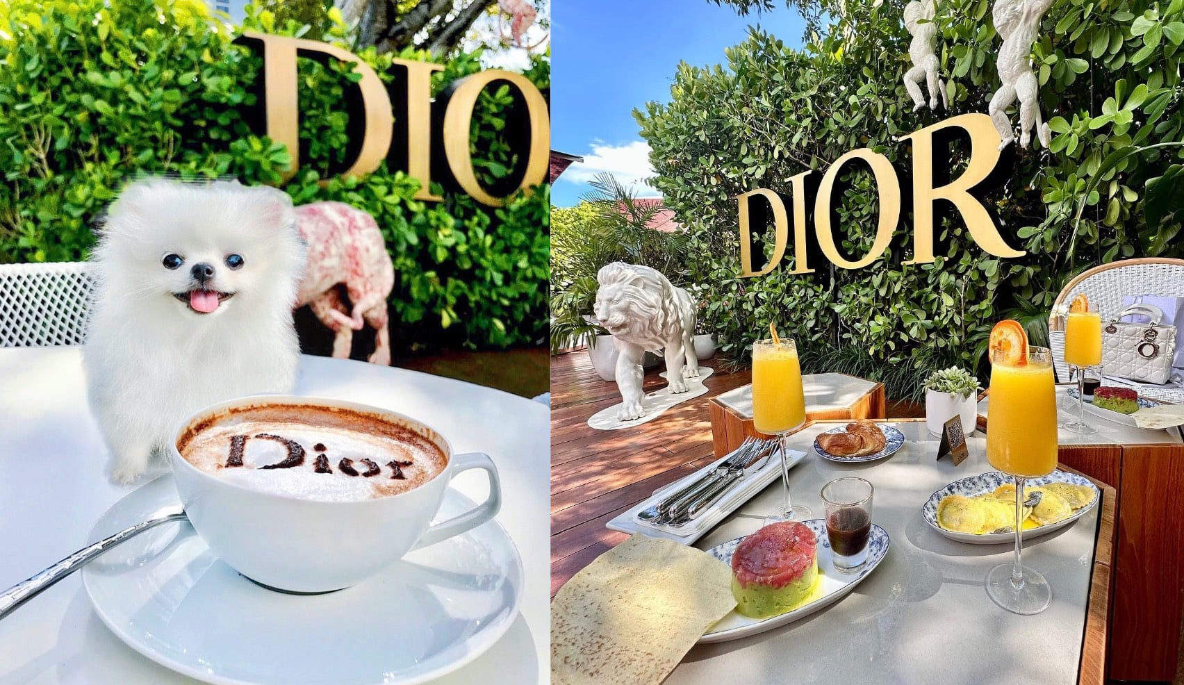 All You Need To Know About the Dior Cafe & Exhibition in Riyadh! » This ...